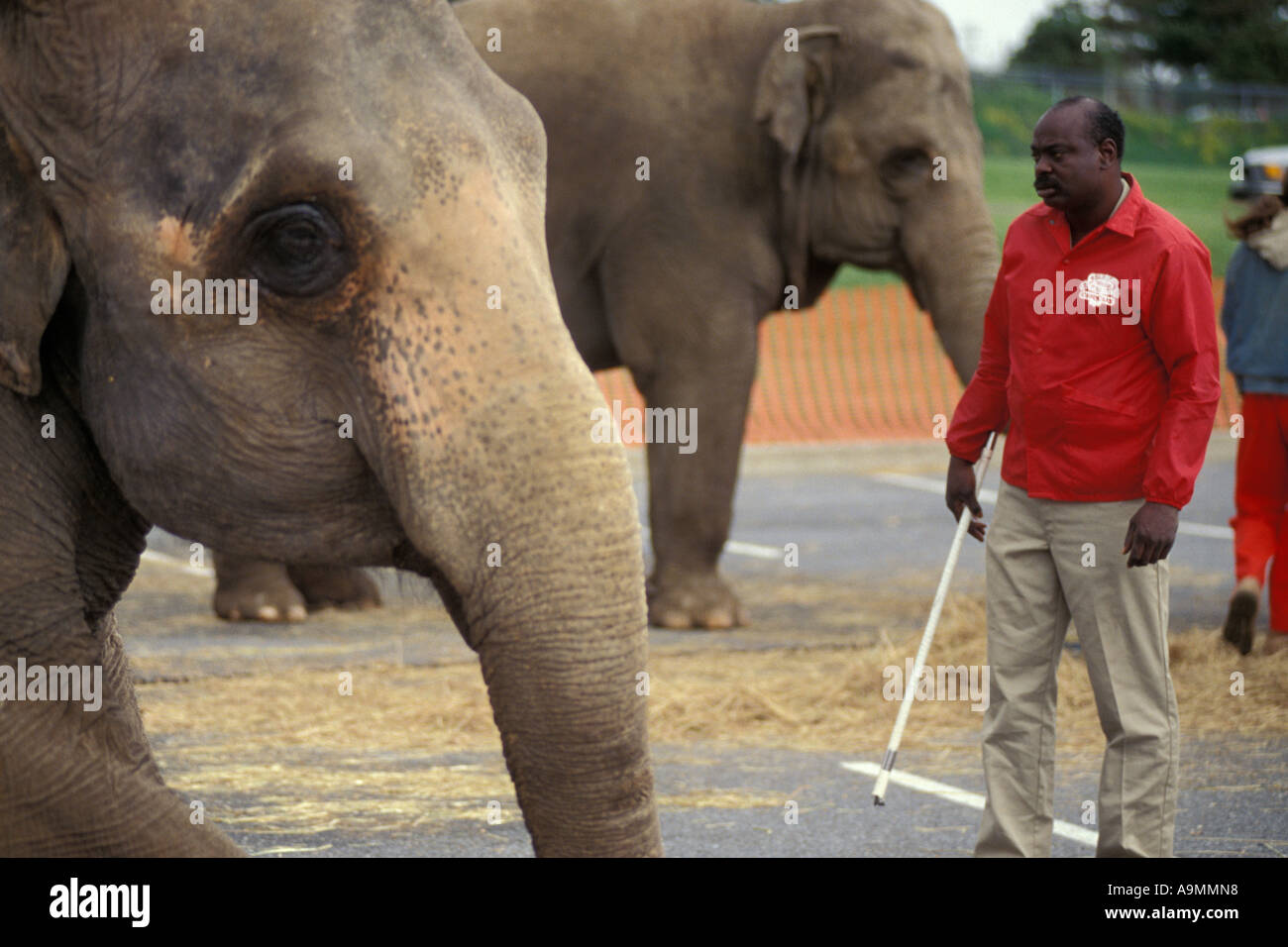 Clyde Beatty Cole Brothers Bros. Circus largest traveling show under ...
