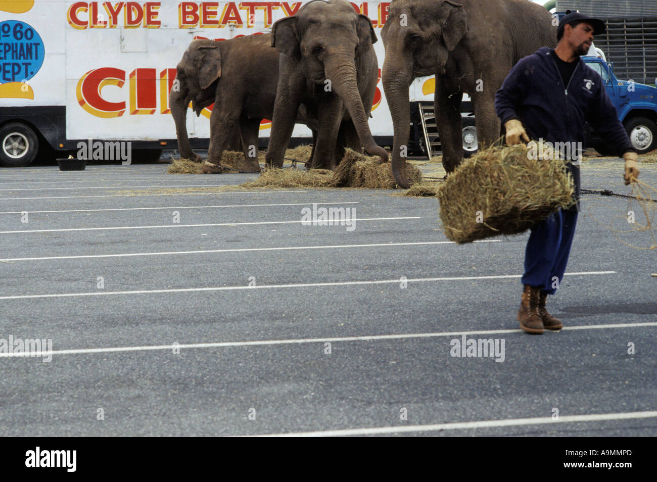 Clyde Beatty Cole Brothers Bros. Circus largest traveling show under ...