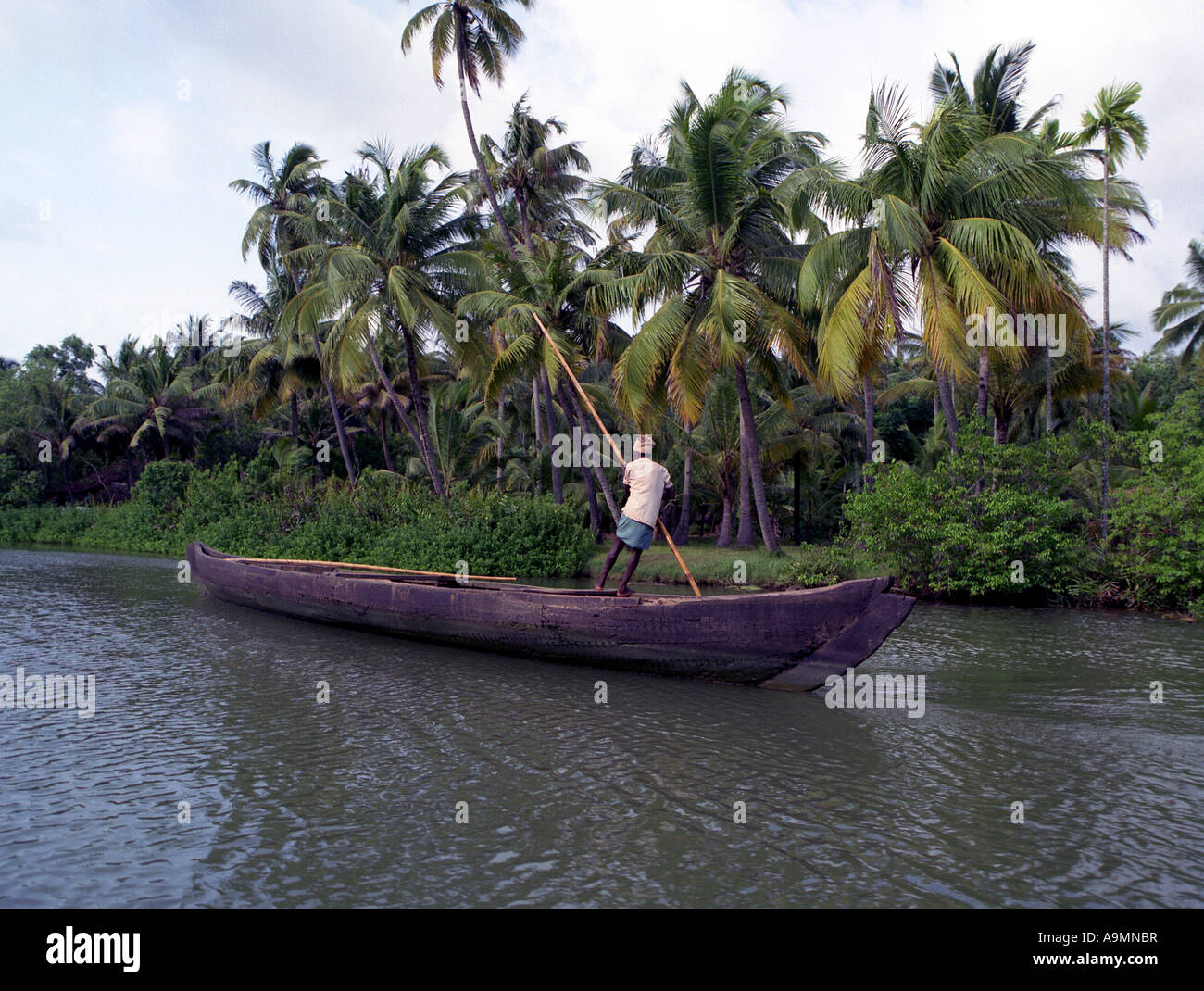 BACKWATERS OF VELLIMON NEAR QUILON KERALA Stock Photo - Alamy