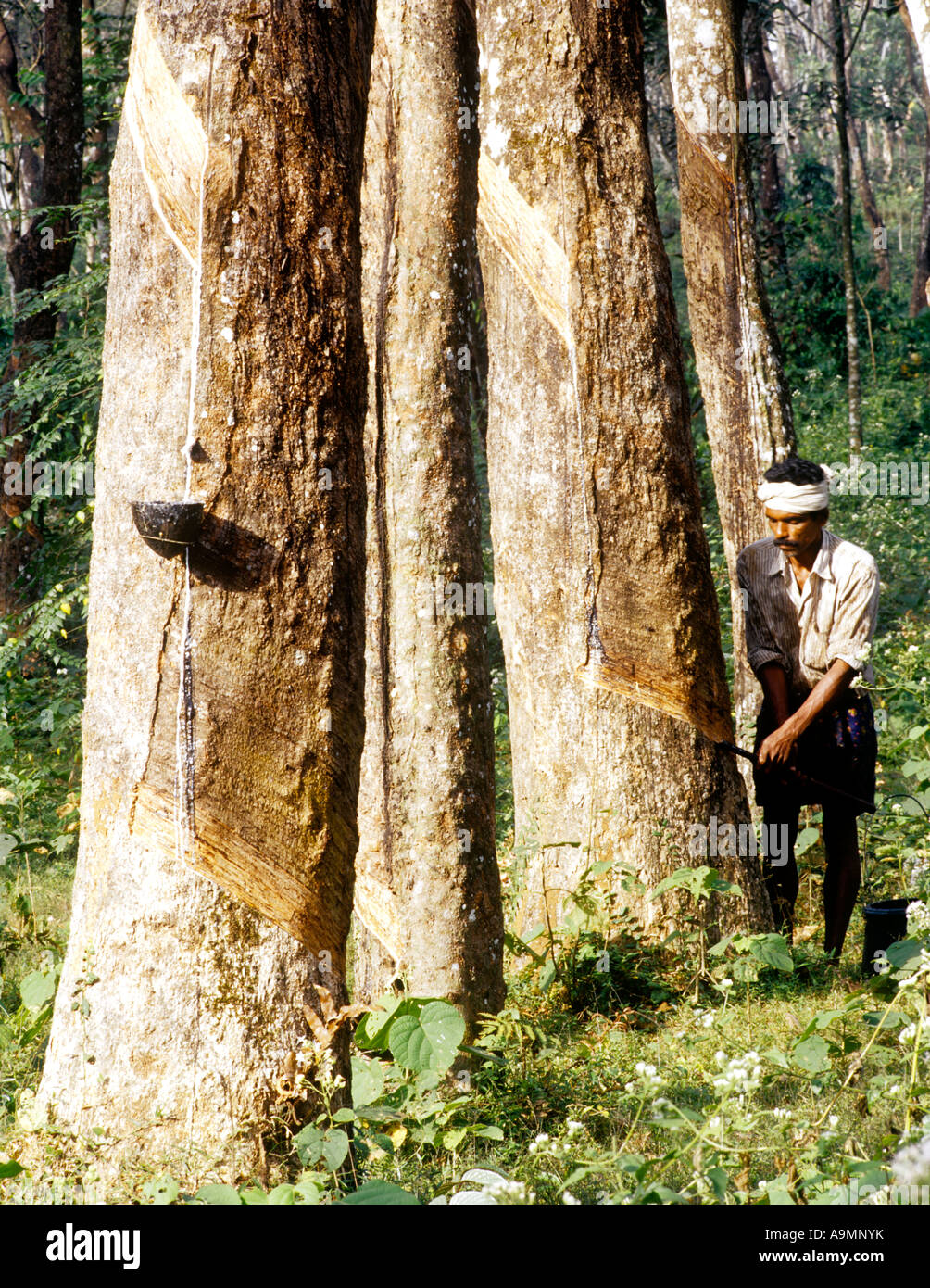 Tapping workers hi-res stock photography and images - Alamy