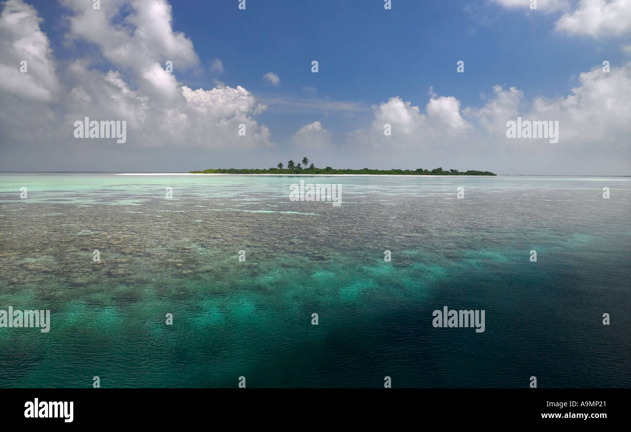 Tropical paradise of South Ari Atoll in The Maldives Stock Photo - Alamy