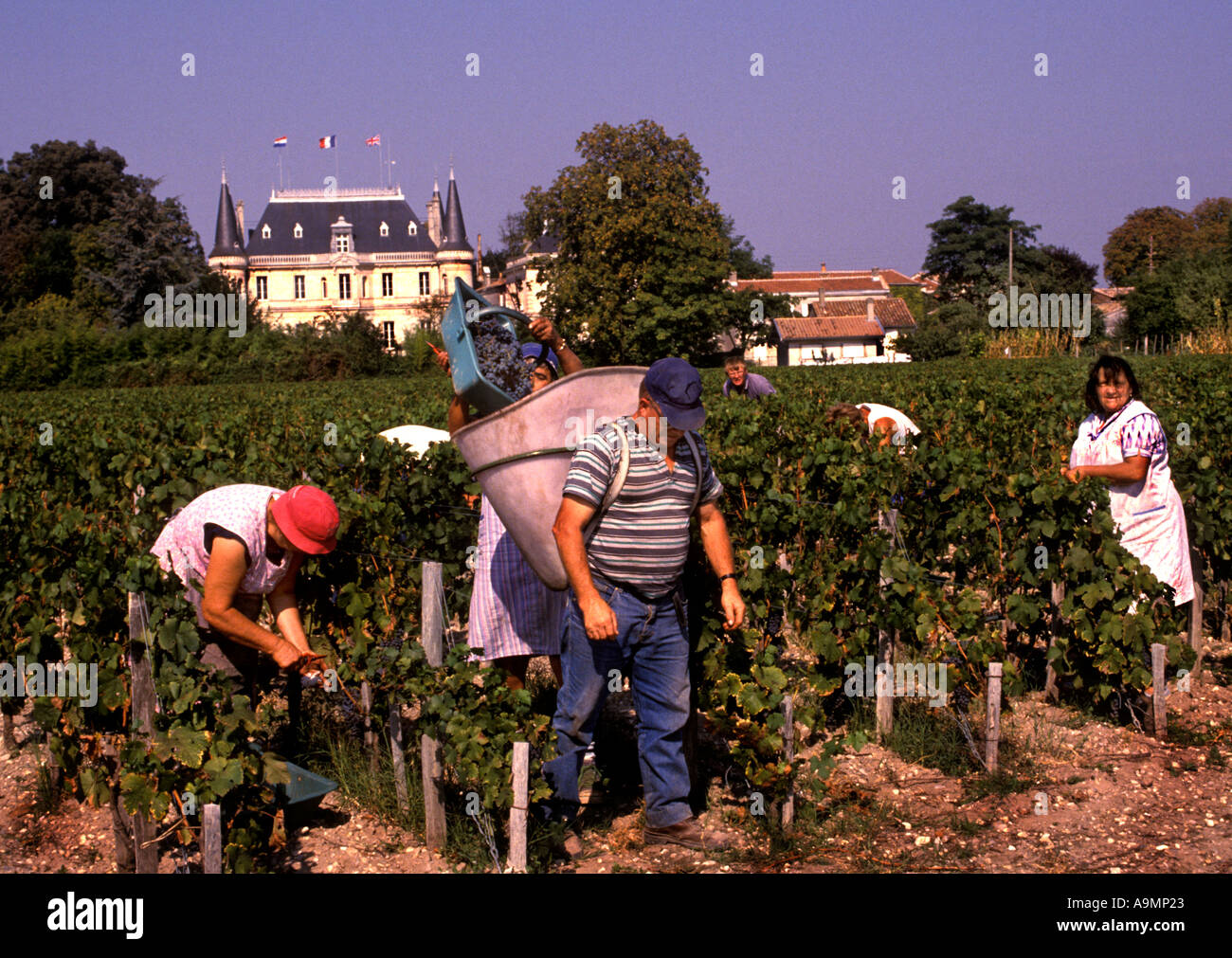 Grapes national hi-res stock photography and images - Alamy