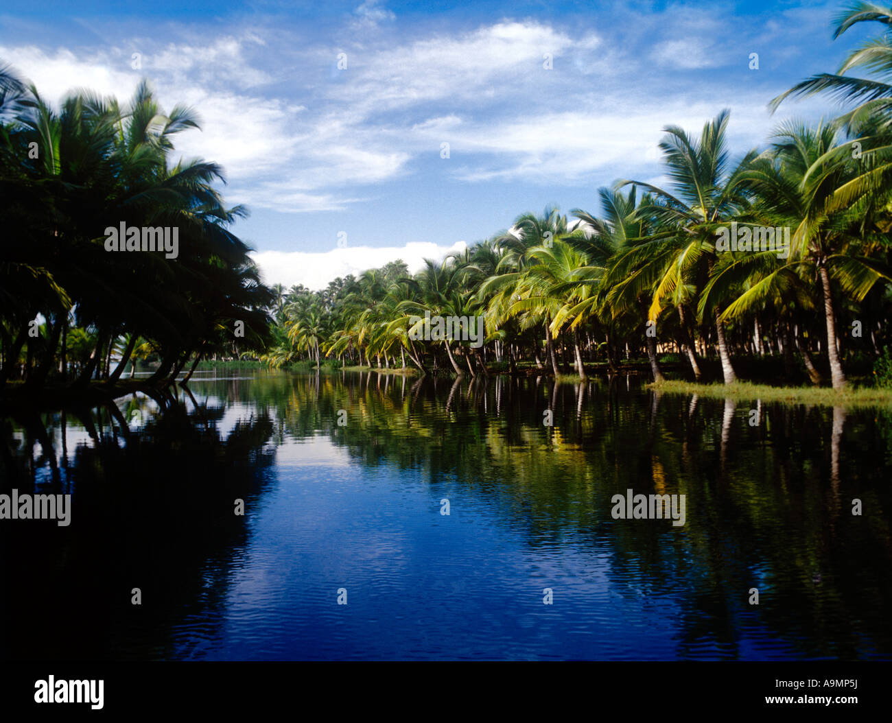 BACKWATERS OF POOVAR TRIVANDRUM KERALA Stock Photo - Alamy