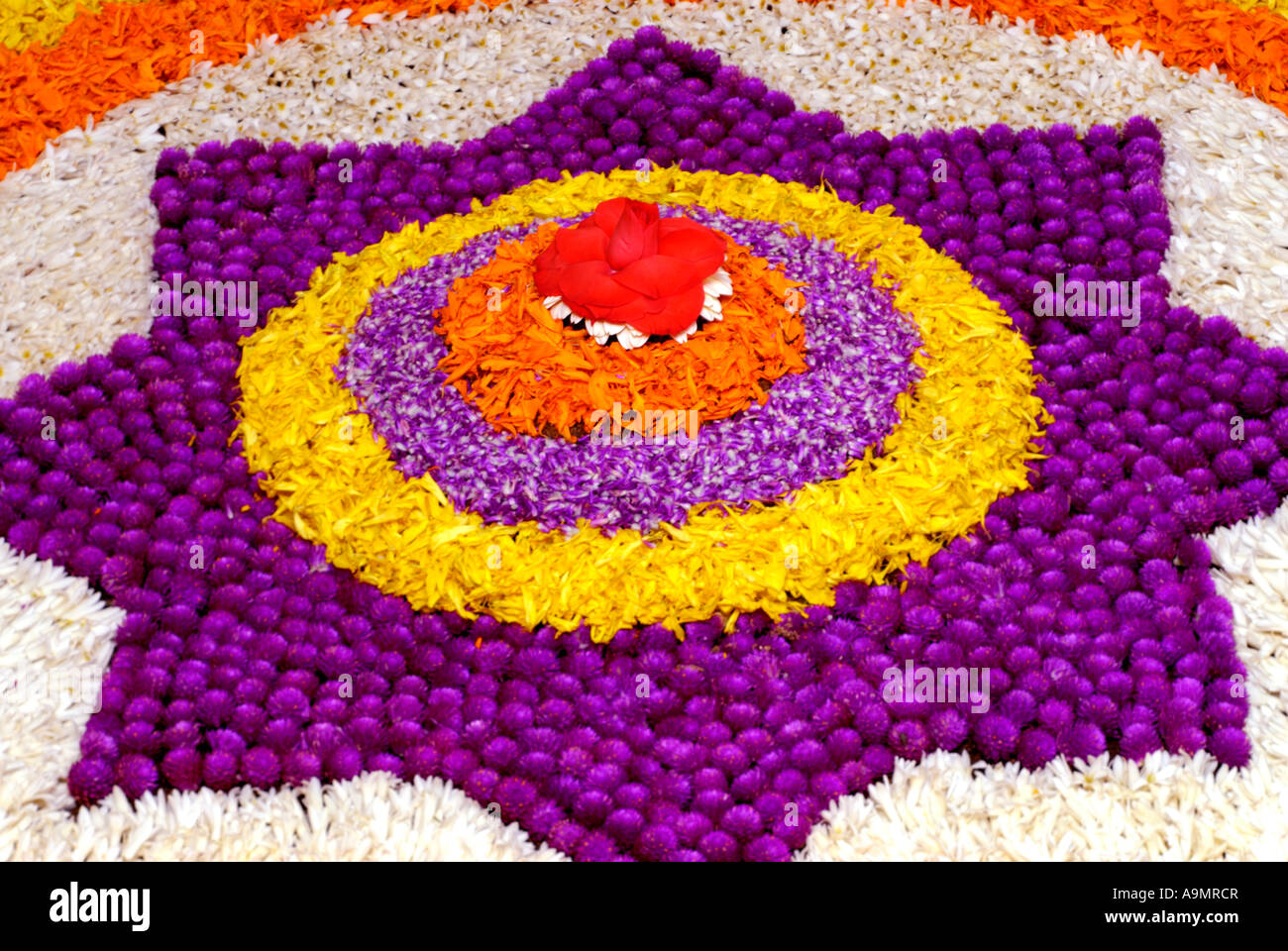 Onam pookalam floral design in kerala hi-res stock photography and ...