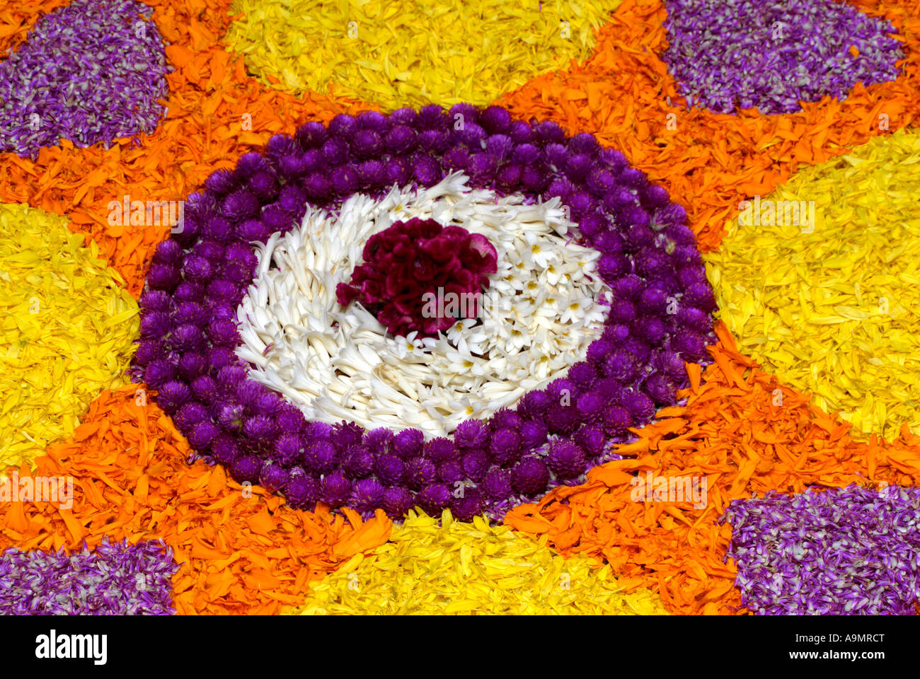 Onam pookalam floral design in kerala hi-res stock photography and ...