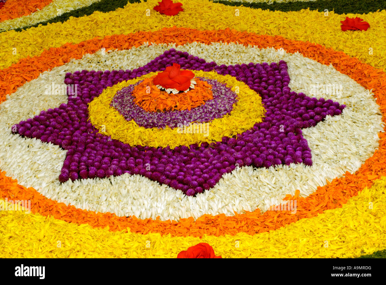 Onam pookalam floral design in kerala hi-res stock photography and ...