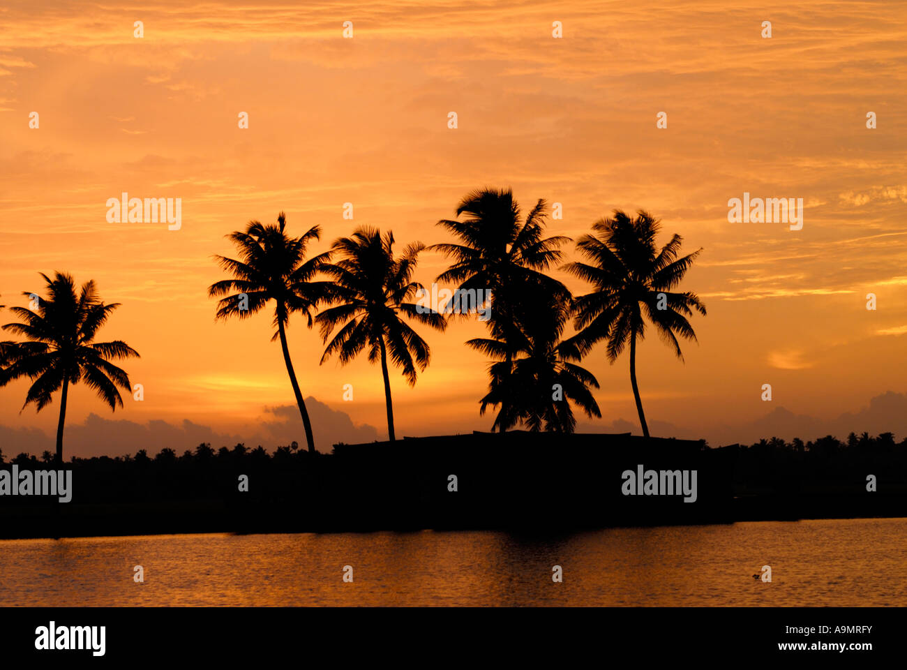 SUNSET OVER THE BACKWATERS OF ALLEPPEY KERALA Stock Photo - Alamy