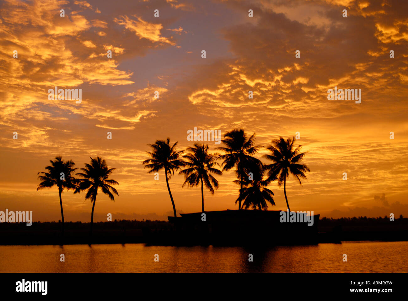 SUNSET OVER THE BACKWATERS OF ALLEPPEY KERALA Stock Photo - Alamy
