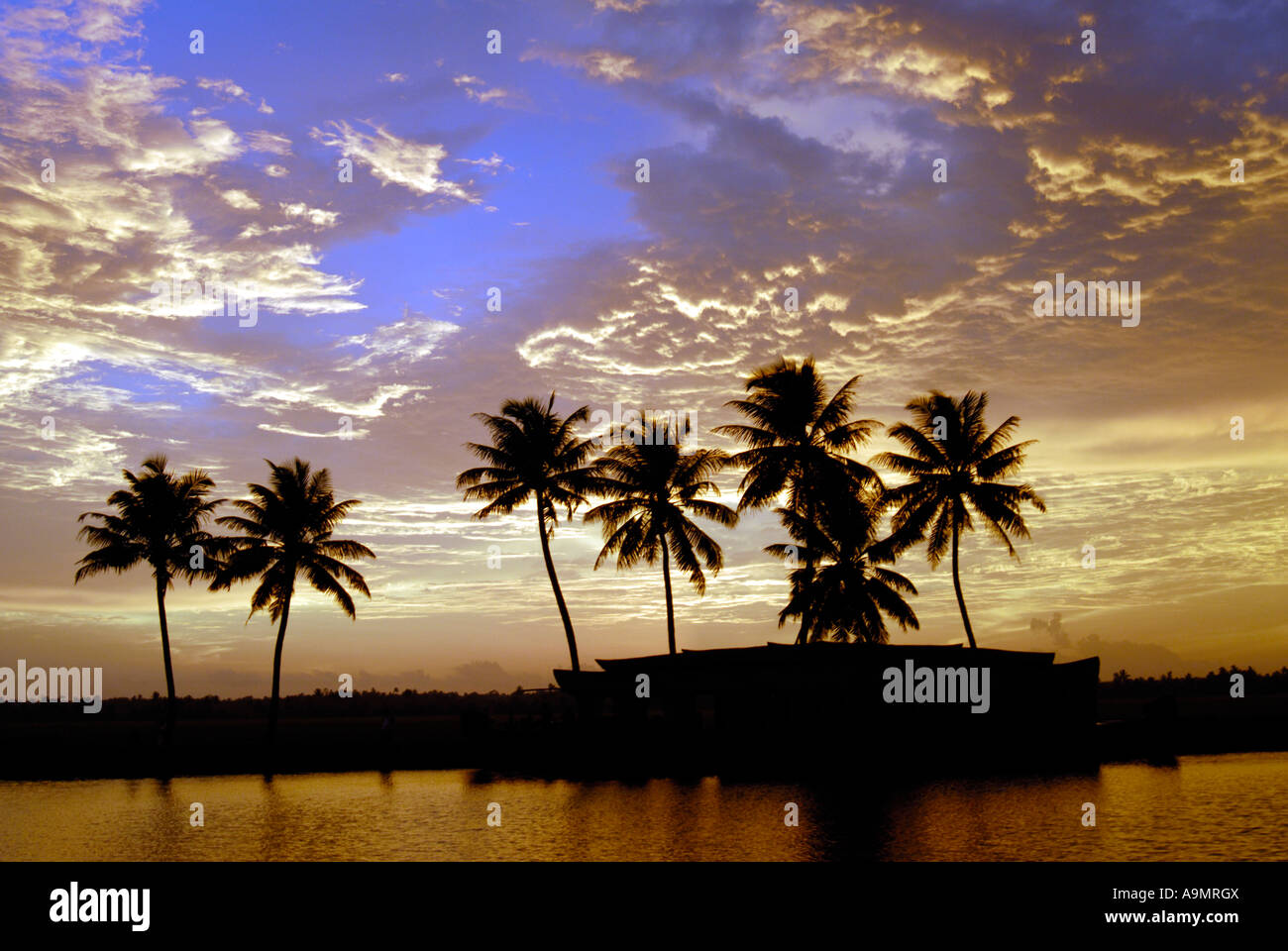 SUNSET OVER THE BACKWATERS OF ALLEPPEY KERALA Stock Photo - Alamy