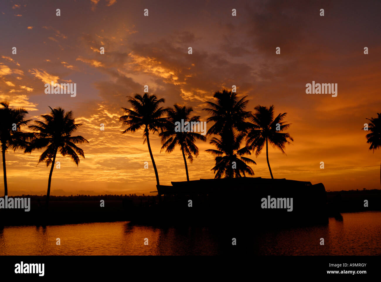 SUNSET OVER THE BACKWATERS OF ALLEPPEY KERALA Stock Photo - Alamy