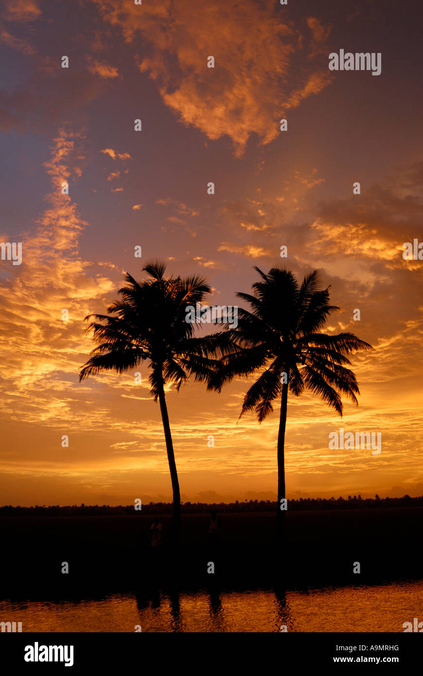SUNSET OVER THE BACKWATERS OF ALLEPPEY KERALA Stock Photo - Alamy