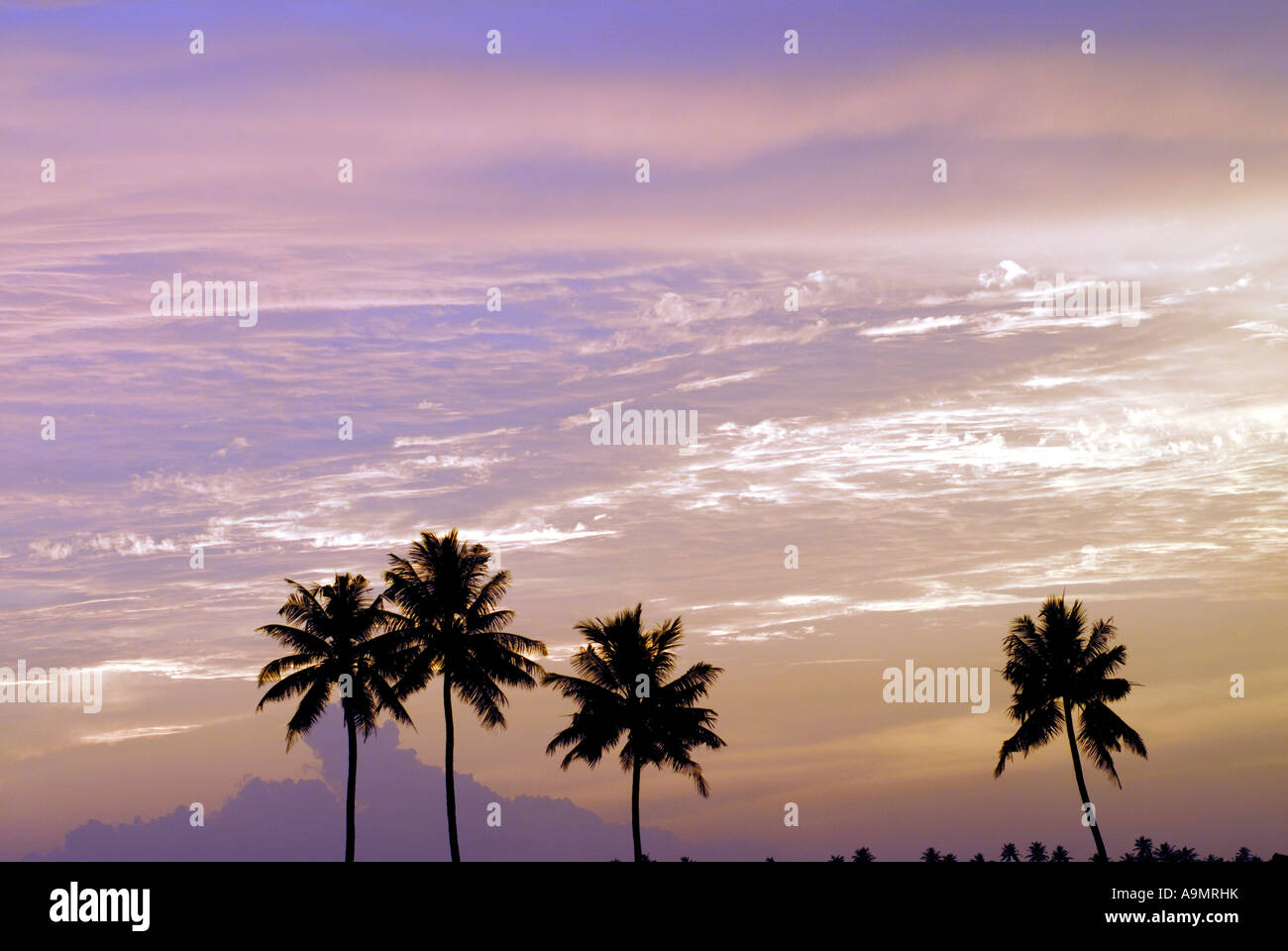 SUNSET OVER THE BACKWATERS OF ALLEPPEY KERALA Stock Photo - Alamy