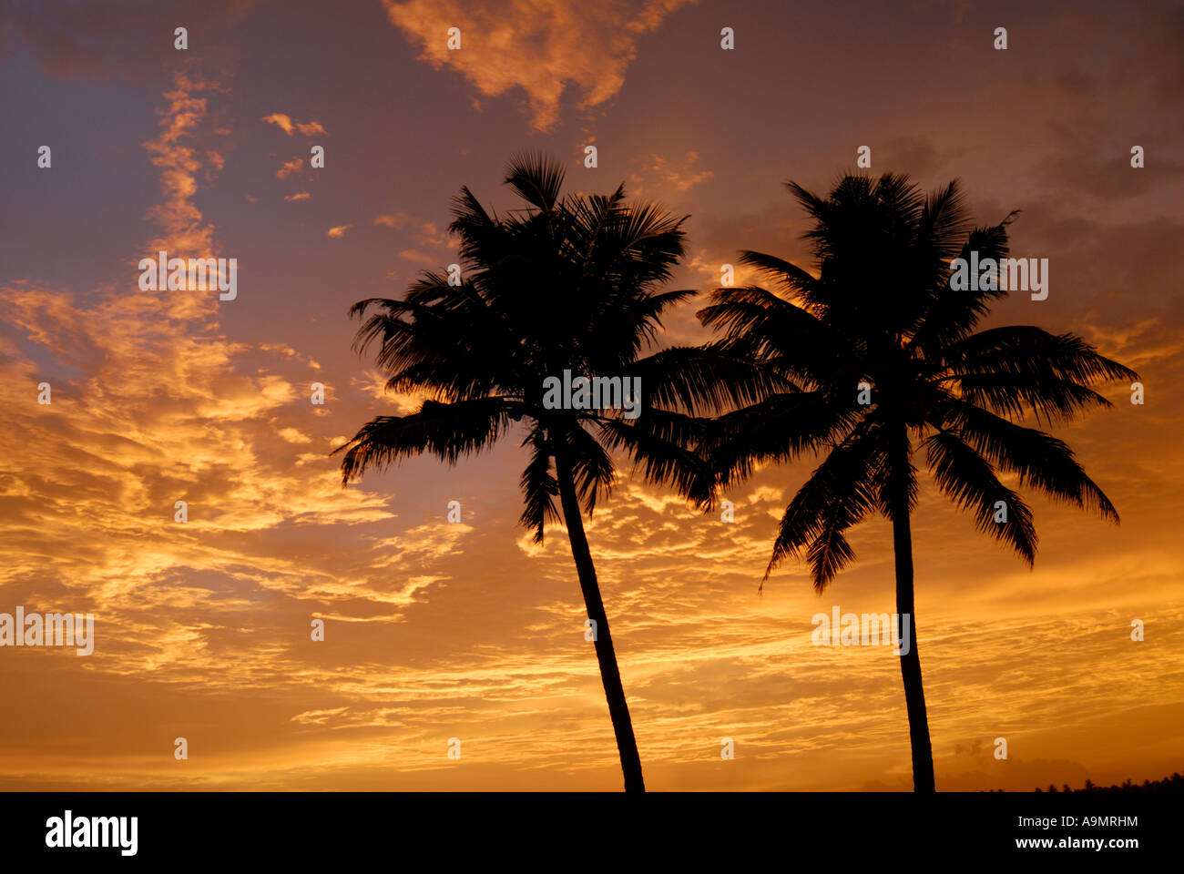SUNSET OVER THE BACKWATERS OF ALLEPPEY KERALA Stock Photo - Alamy