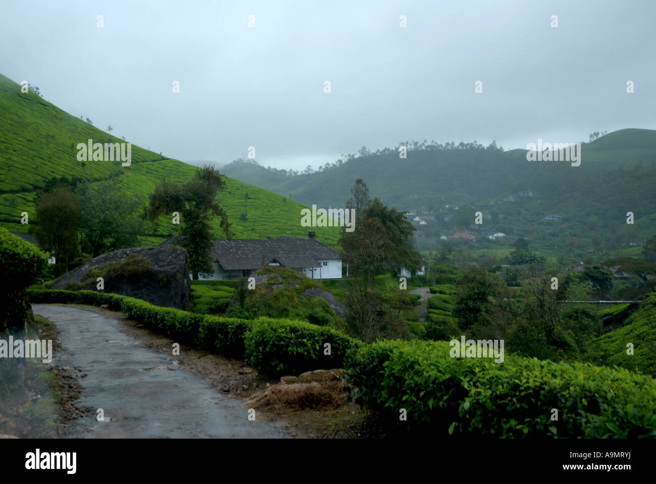 Munnar hillstation hi-res stock photography and images - Alamy