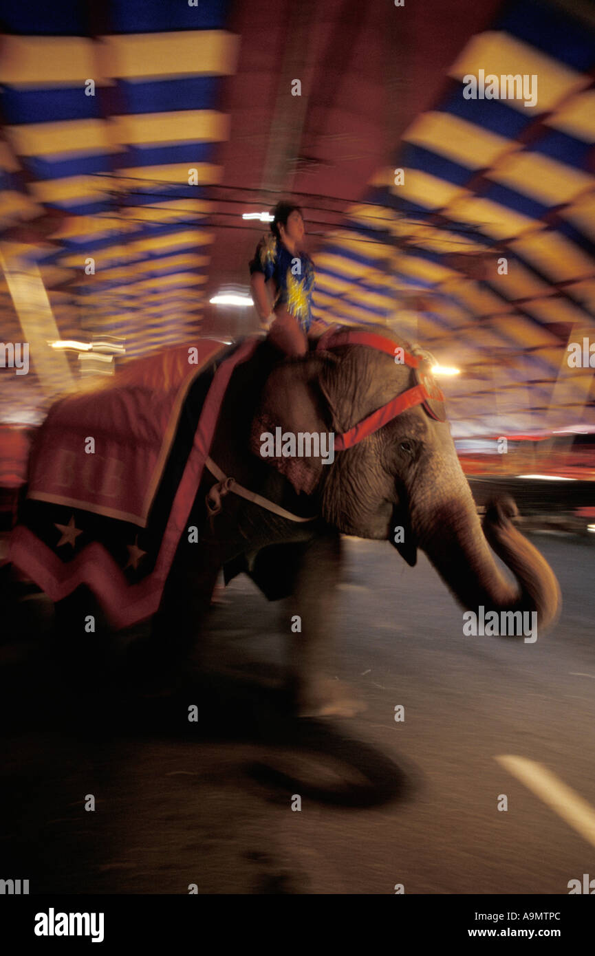 Clyde Beatty Cole Brothers Bros. Circus largest traveling show under ...