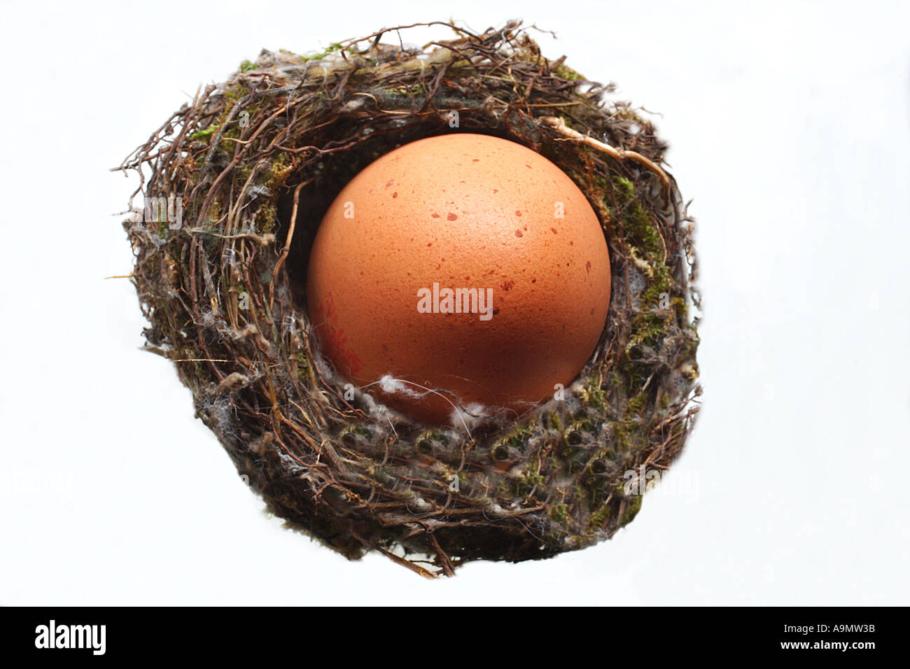 Nestegg hi-res stock photography and images - Alamy