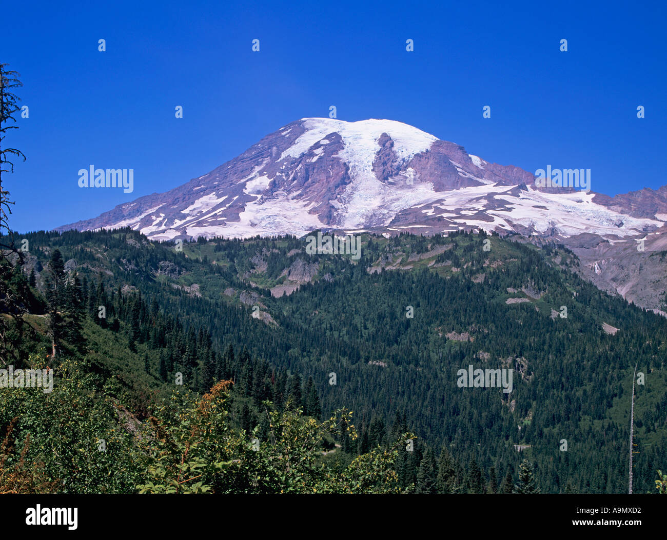 Stevens canyon mount rainier hi-res stock photography and images - Alamy
