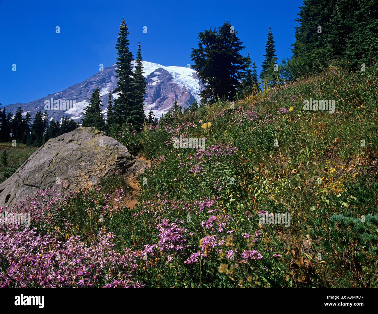MOUNT RAINIER NATIONAL PARK WASHINGTON STATE USA September Cascade ...