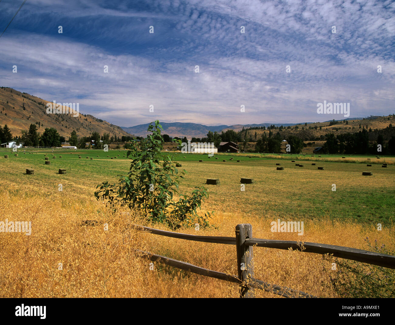 Carlton washington hi-res stock photography and images - Alamy
