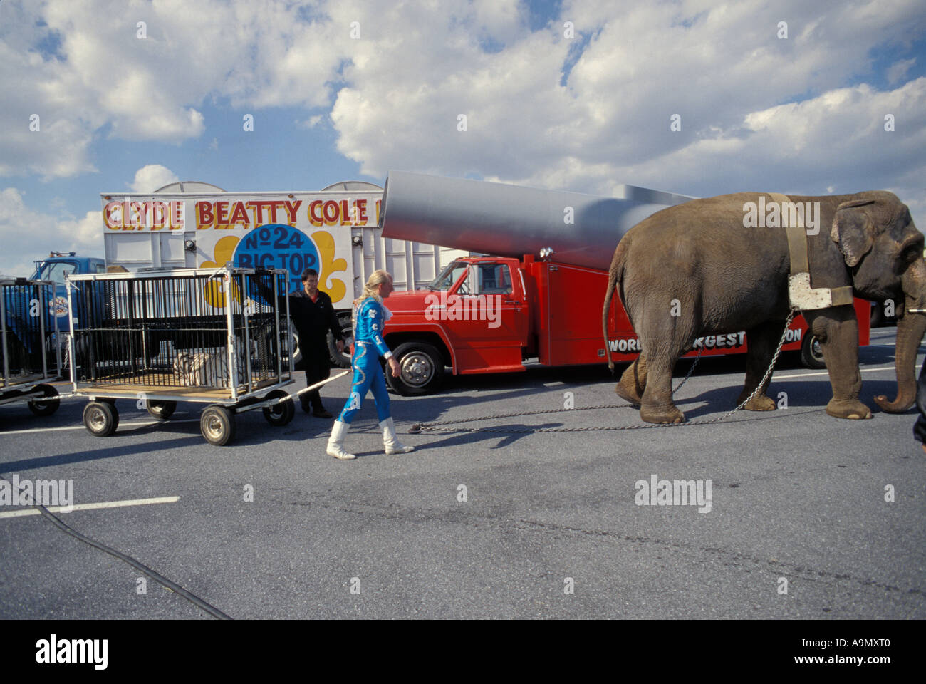 Clyde Beatty Cole Brothers Bros. Circus largest traveling show under ...