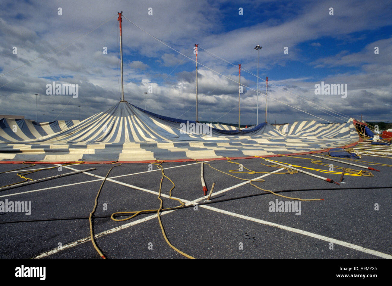 Clyde Beatty Cole Brothers Bros. Circus largest traveling show under ...