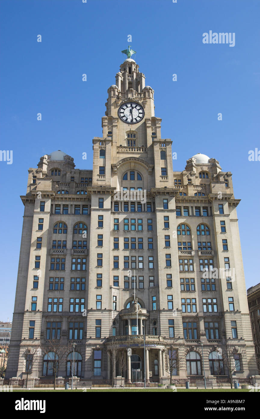 Clock face royal liver building hi-res stock photography and images - Alamy