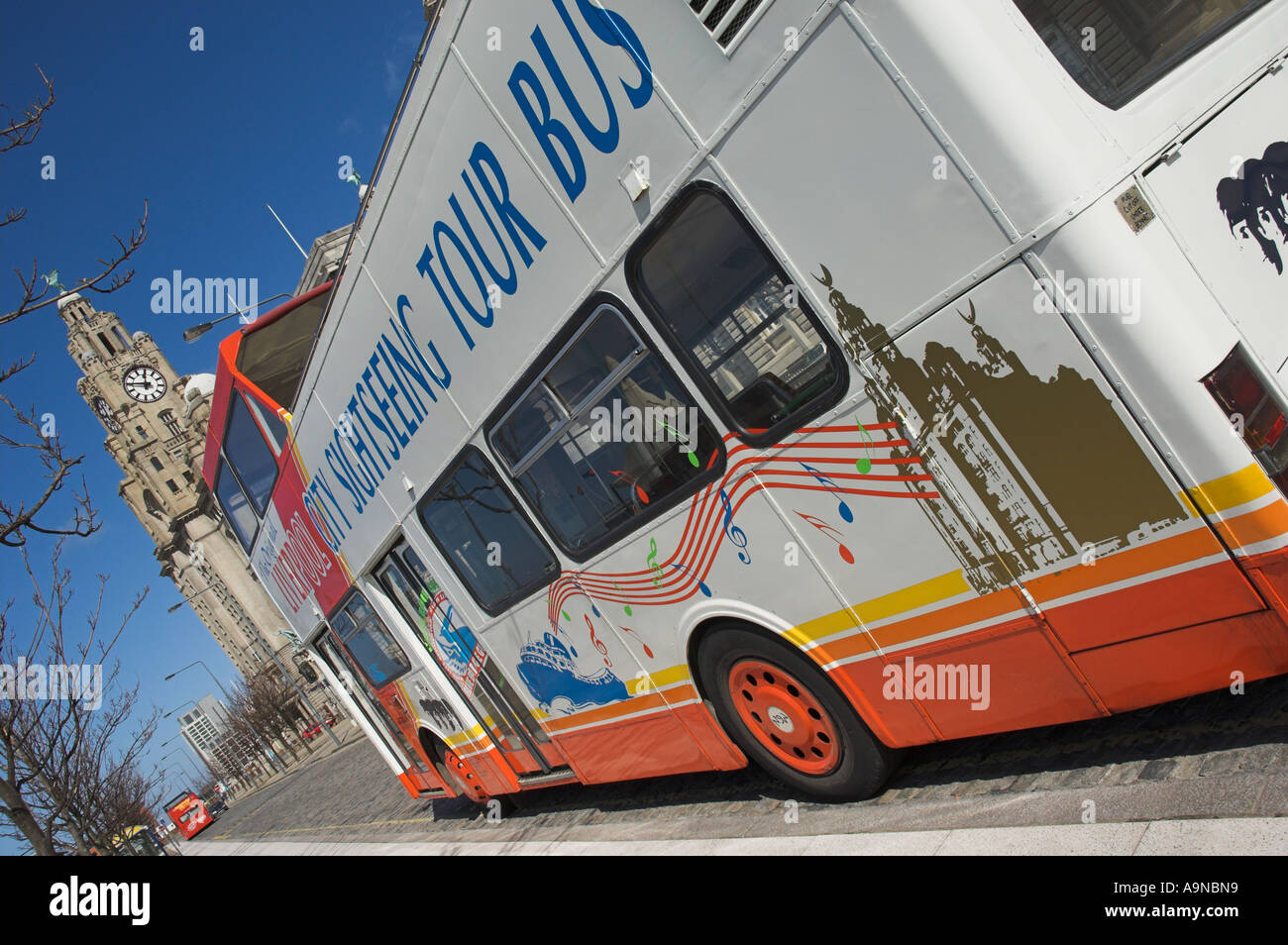 Liverpool red city tour bus at the Liver building near Albert dock ...