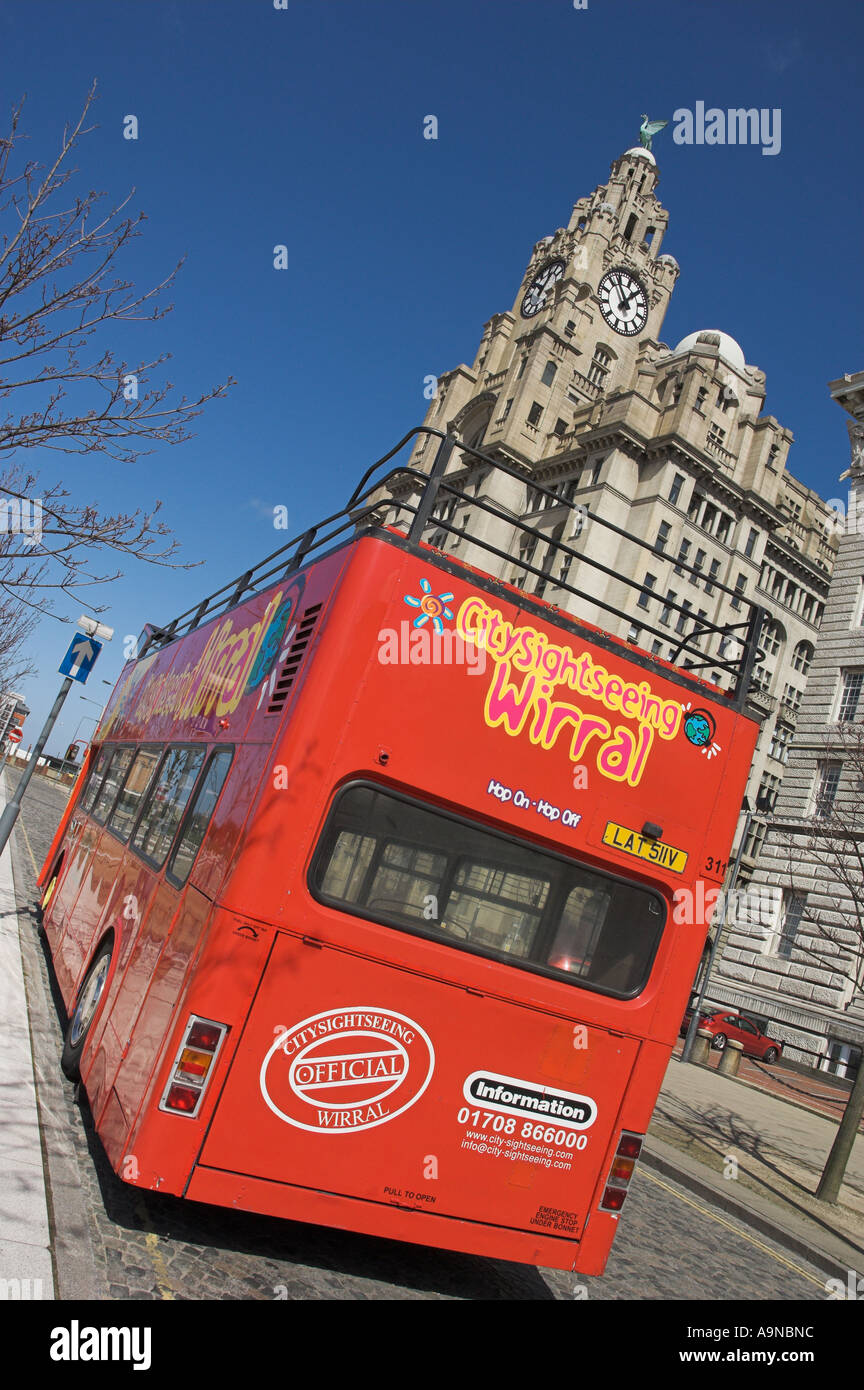 Wirral and Liverpool red city tour bus at the Liver building near ...