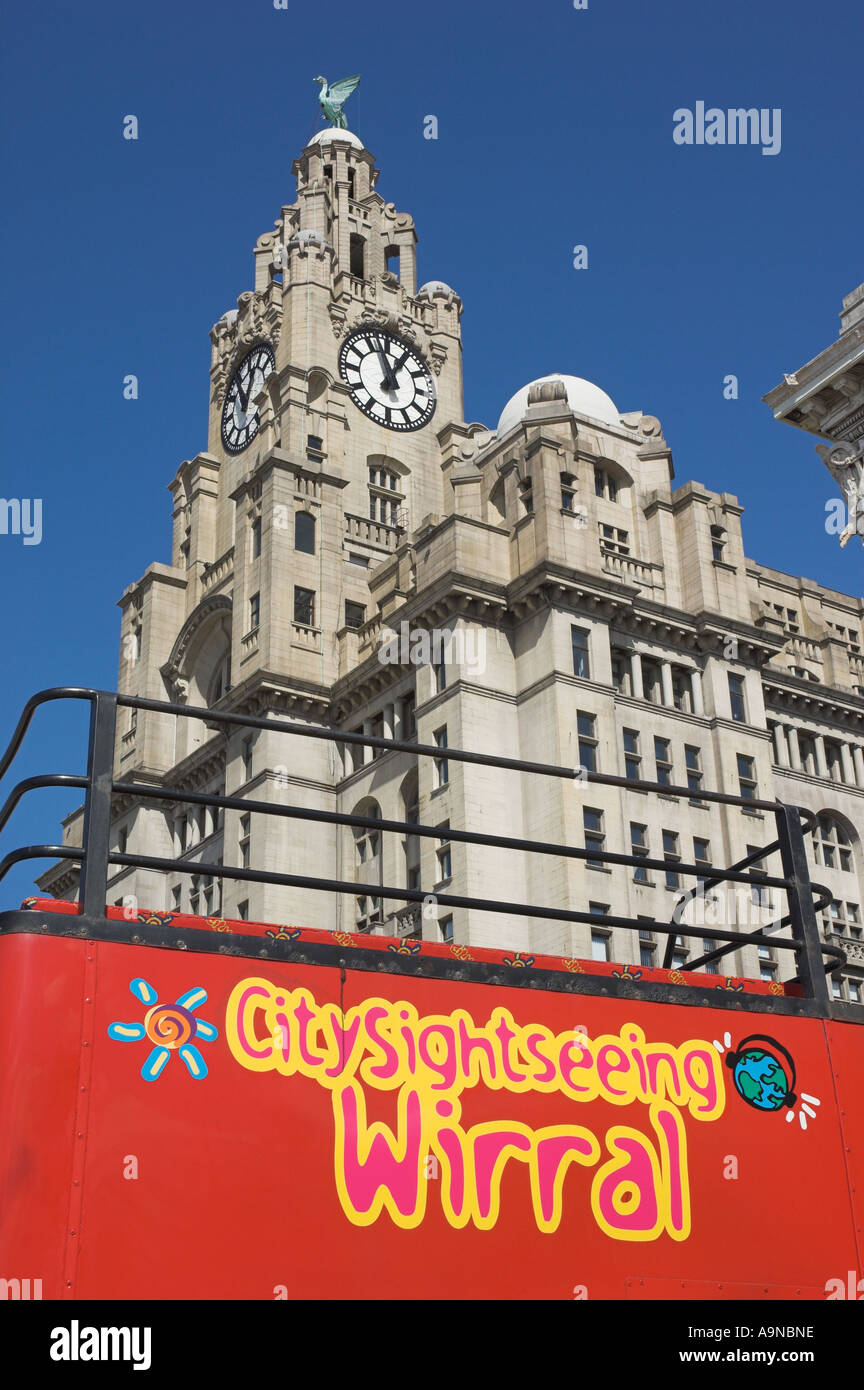 Wirral red city tour bus at the Liver building near Albert dock ...