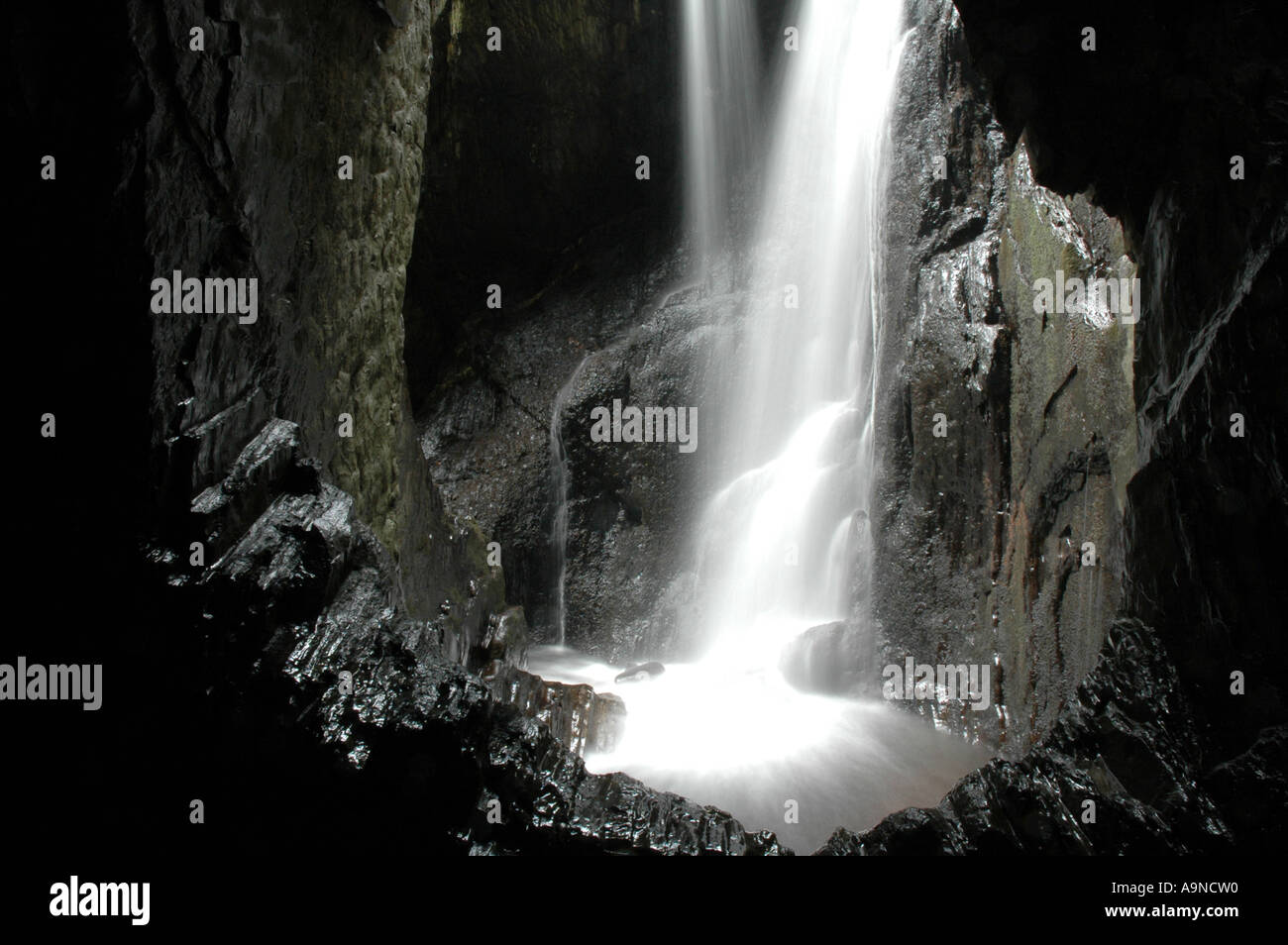 Hafod estate hi-res stock photography and images - Alamy