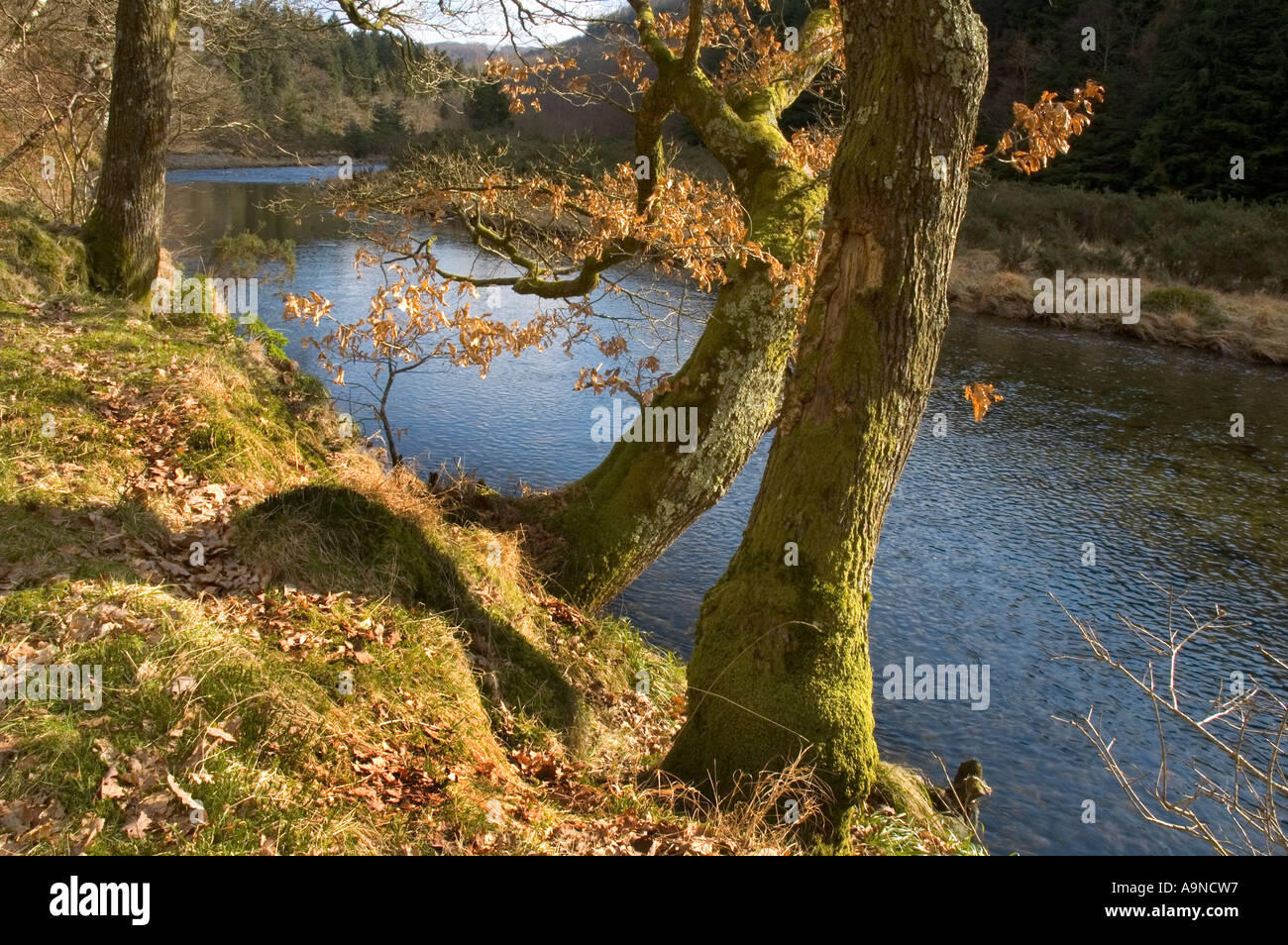 Gently flowing waterway hi-res stock photography and images - Alamy