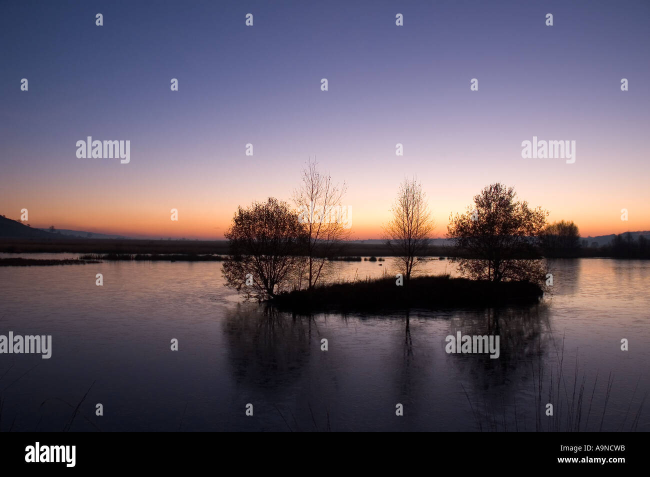 landscape of sunset over calm still lake with trees and small island in ...