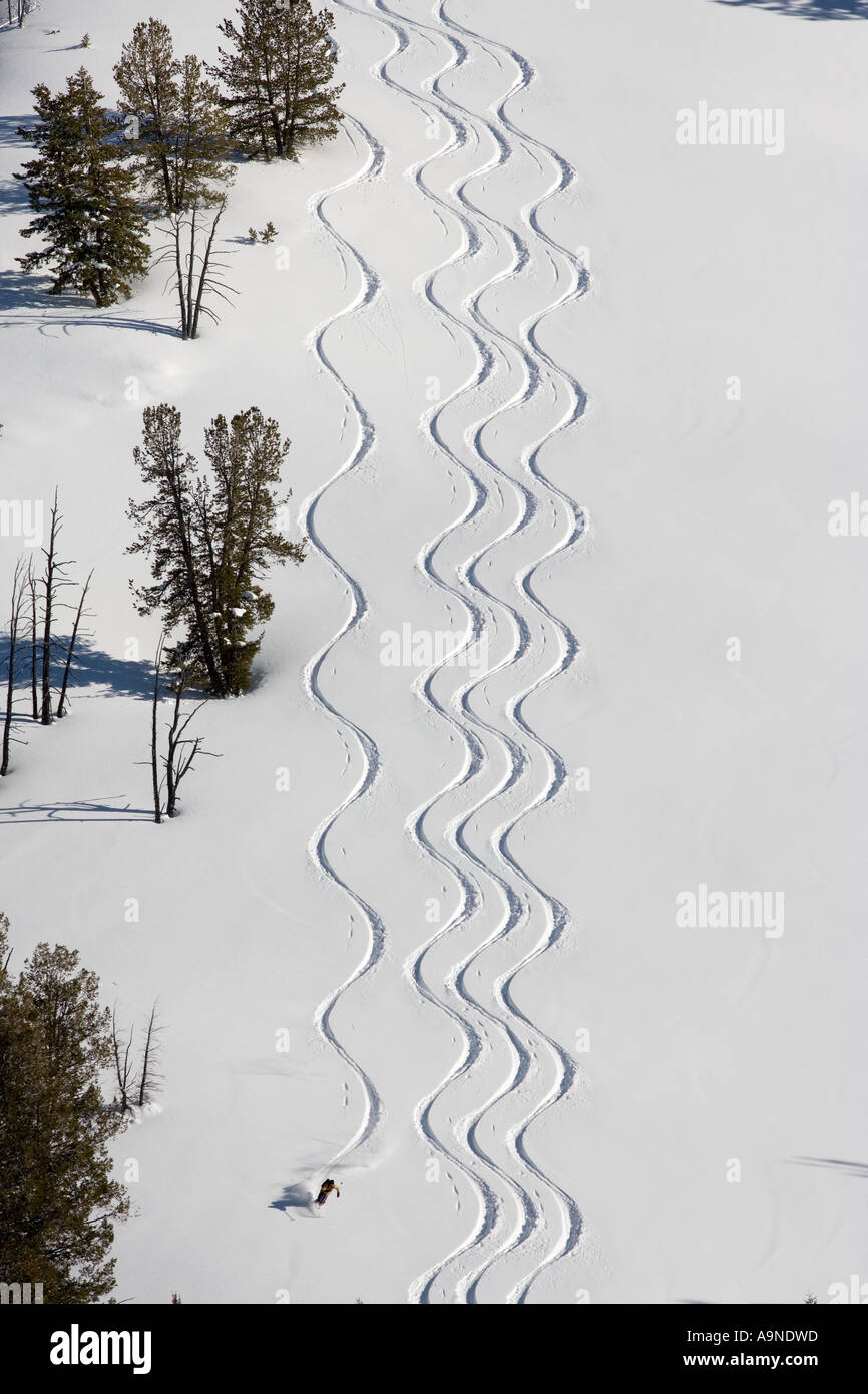 Skier adds his mark to the perfect set of three ski tracks already on ...
