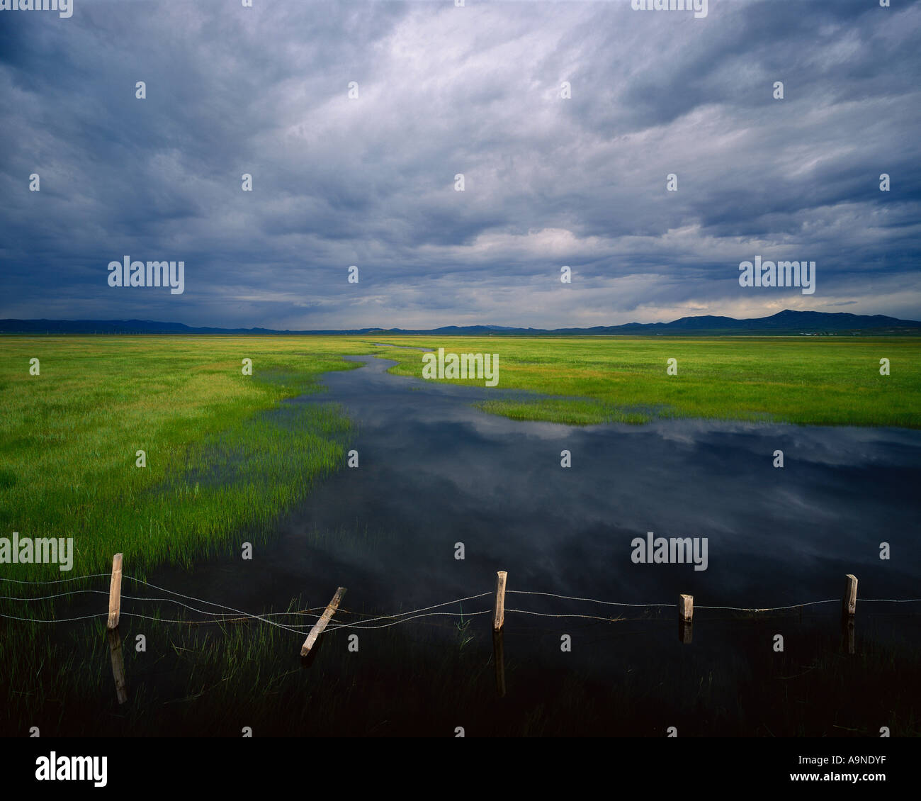 Flooded meadows on the Camas Prairie in Southwest Idaho flood in ...