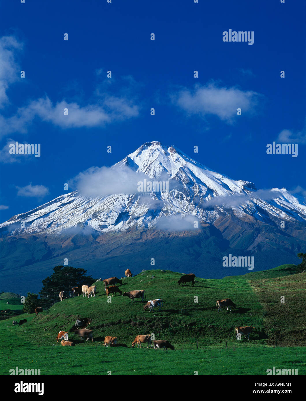 Beautiful spring day at Mt. Taranaki with blue sky and snow capped ...