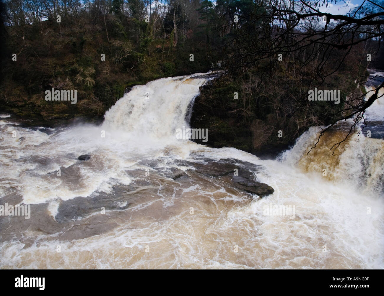 Bonnington Linn in full flow, falls of Clyde, Lanarkshire, Scotland ...