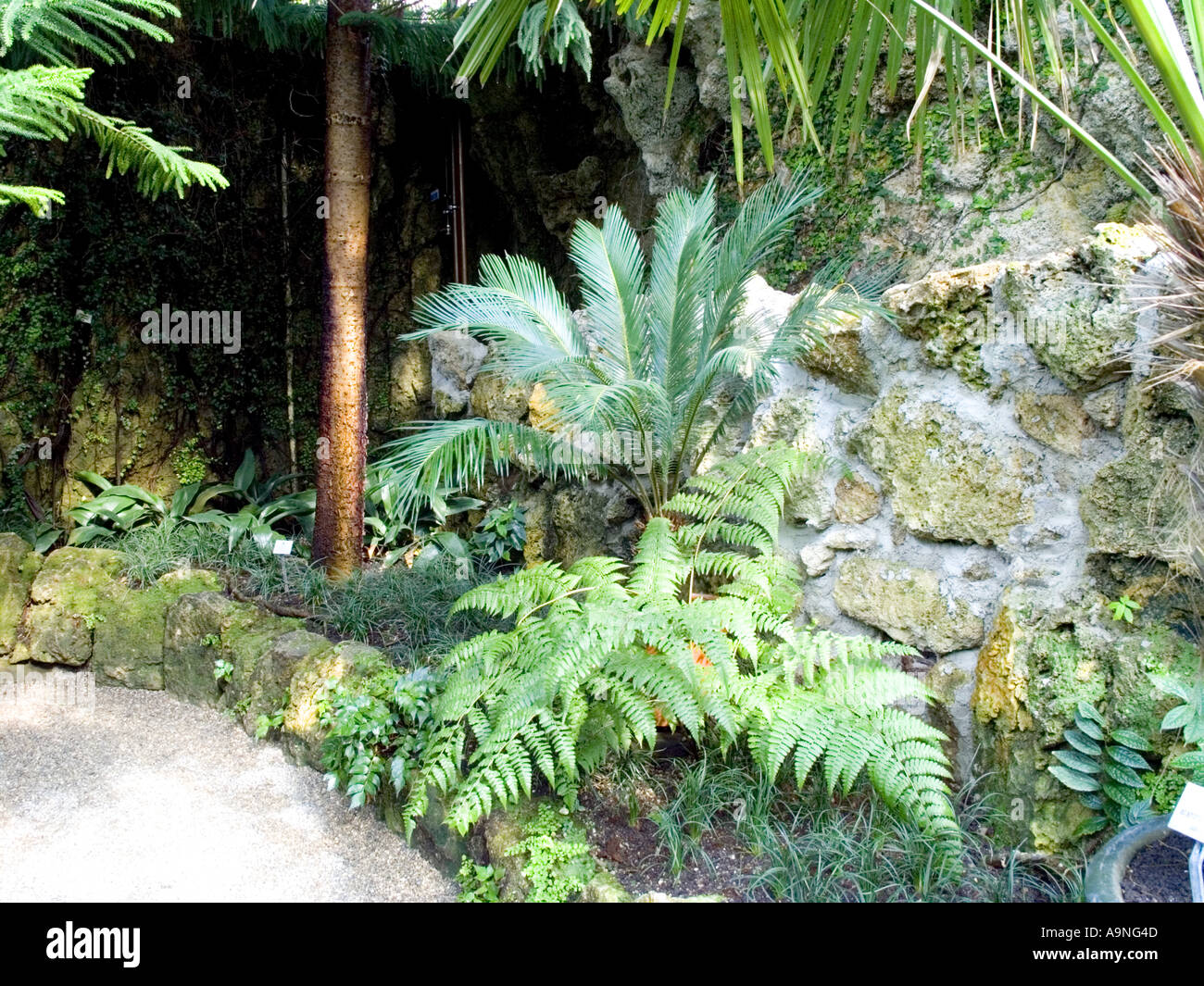 botanic botanical garden munich munchen bayern bavaria germany ...