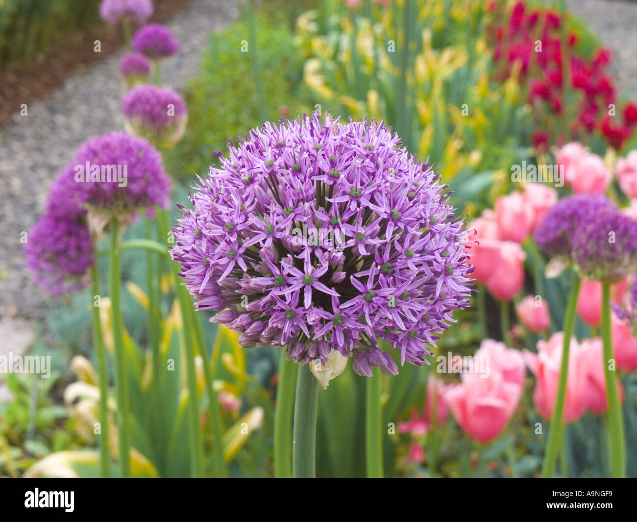 Bundesgartenschau Garden Show exhibition in Munich Germany Europe Stock ...