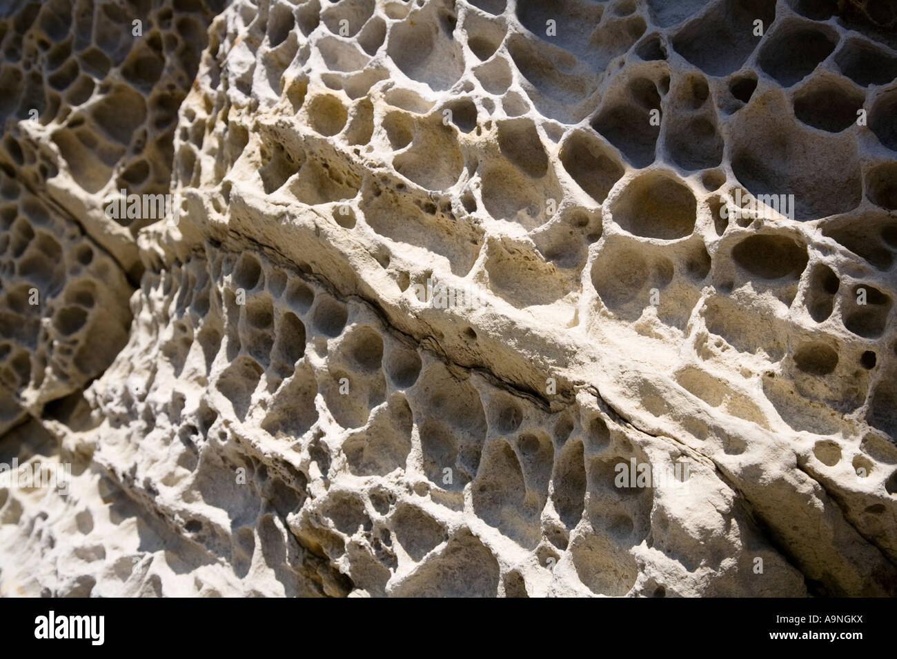 A honeycombed pattern eroded by weather in Jurassic sedimentary rock on ...