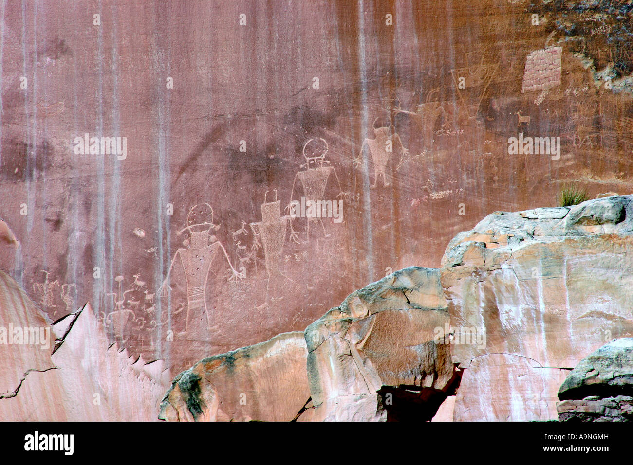 petroglyphs, capitol reef national park, utah Stock Photo - Alamy