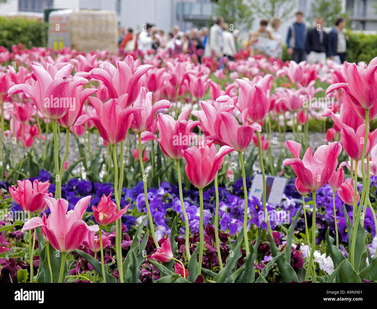 Bundesgartenschau Garden Show exhibition in Munich Germany Europe Stock ...