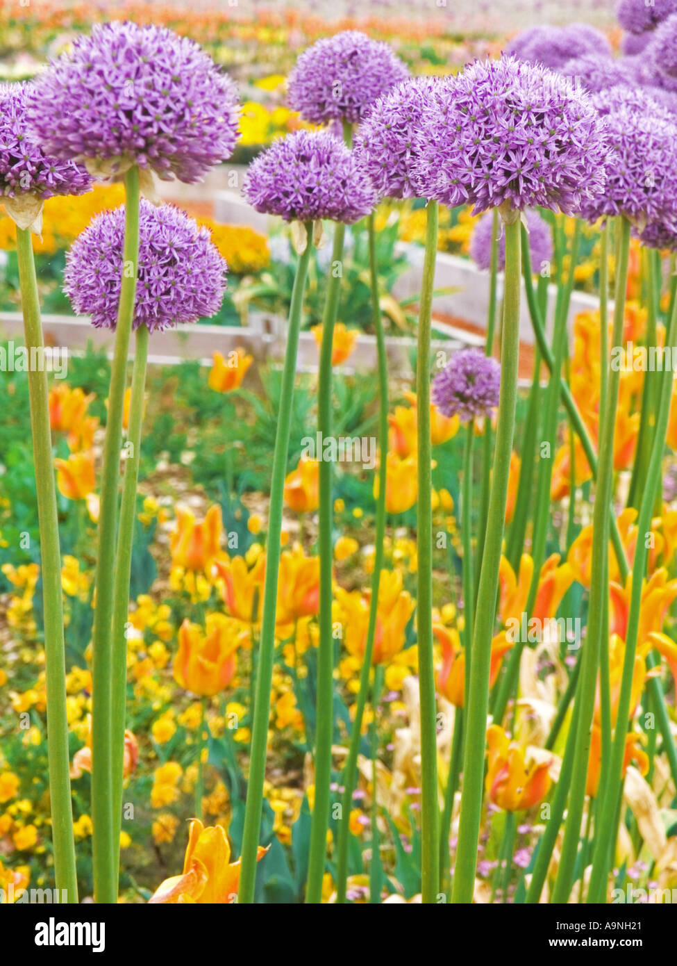 Bundesgartenschau Garden Show exhibition in Munich Germany Europe Stock ...