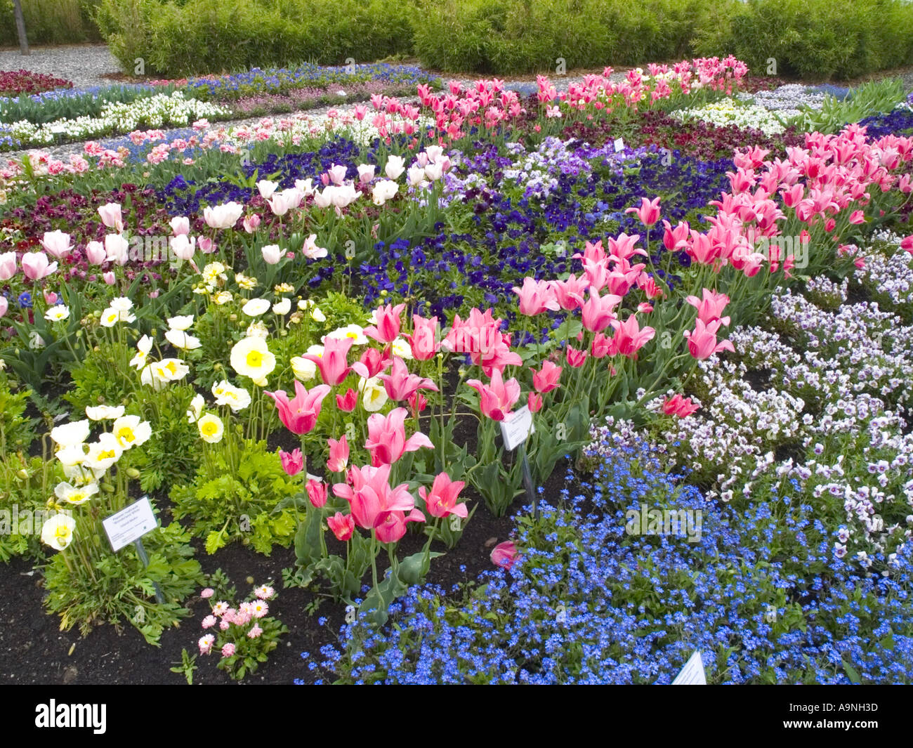 Bundesgartenschau Garden Show exhibition in Munich Germany Europe Stock ...