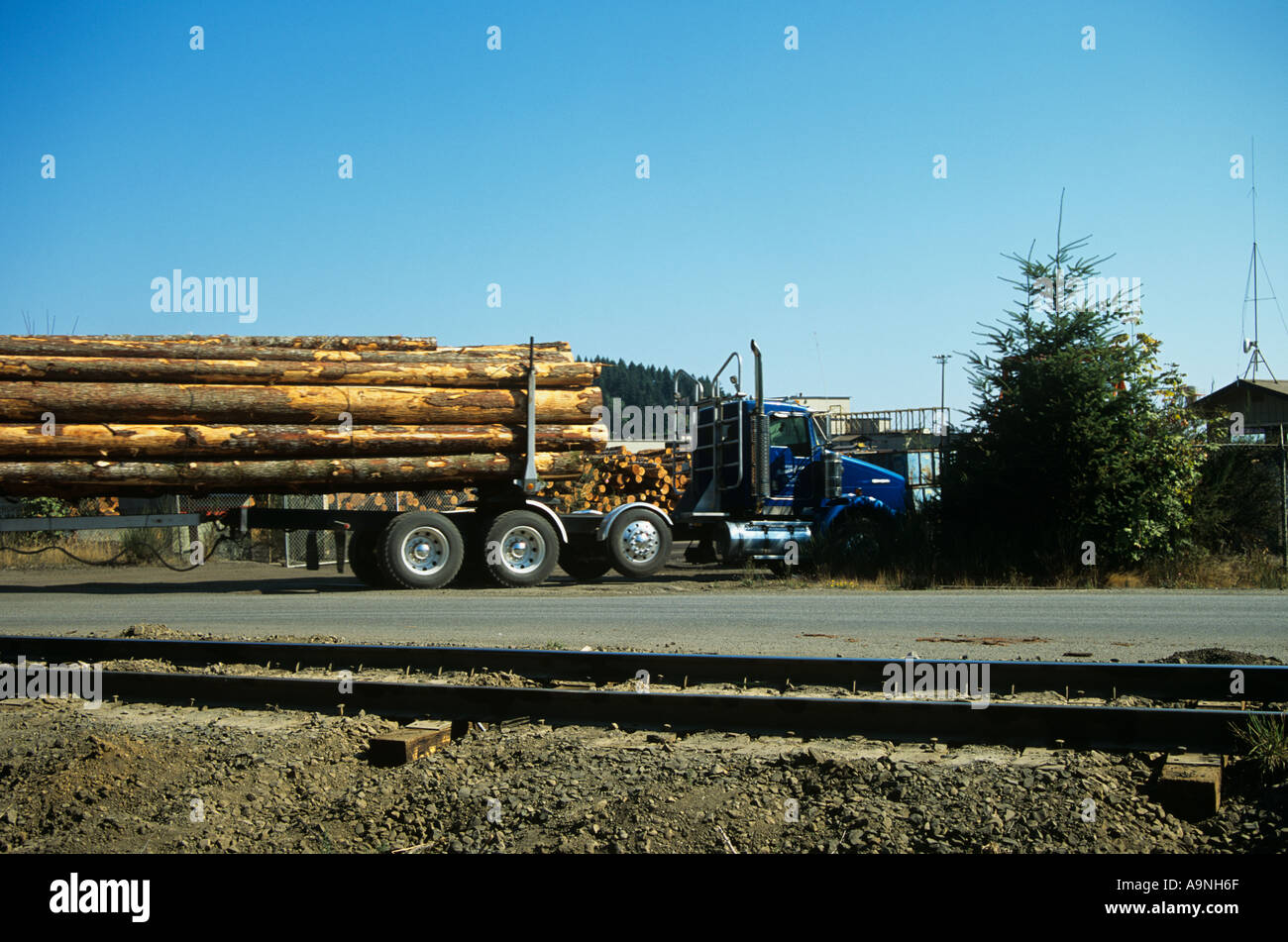 SHELTON WASHINGTON STATE USA A long loader taking logs into Simpson's ...