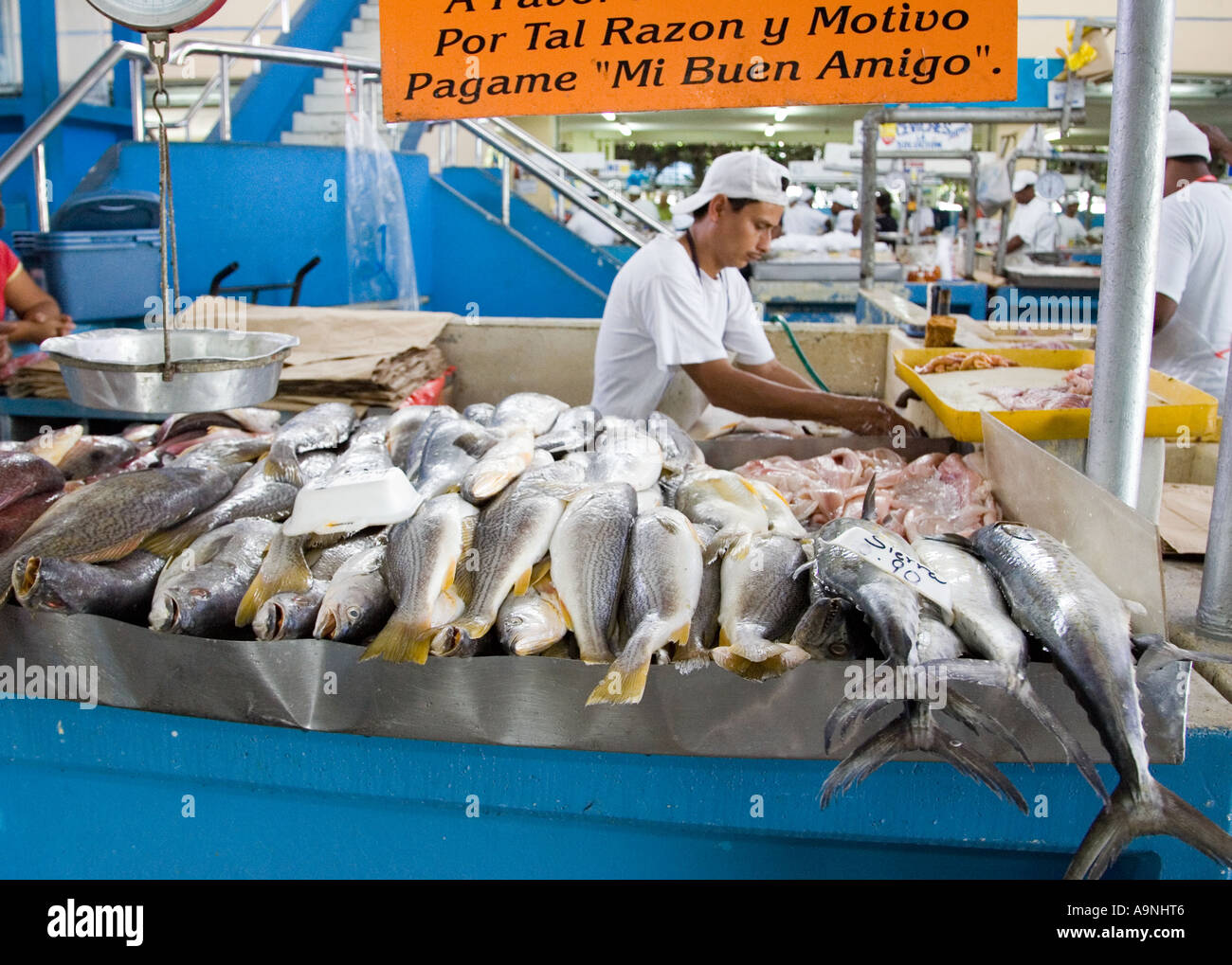 Panama fish market Stock Photo - Alamy