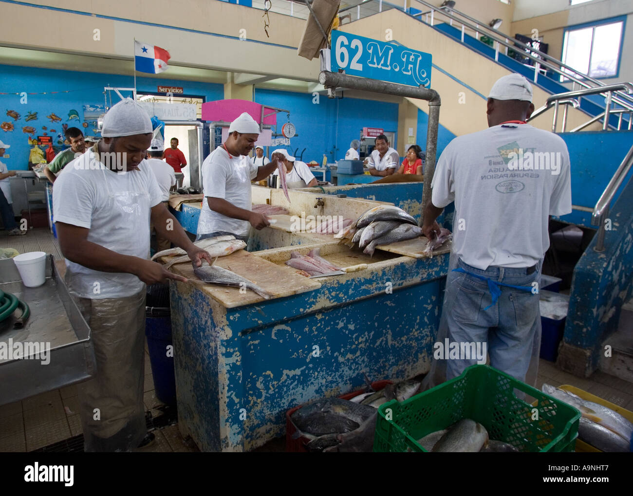 Panama fish market Stock Photo - Alamy