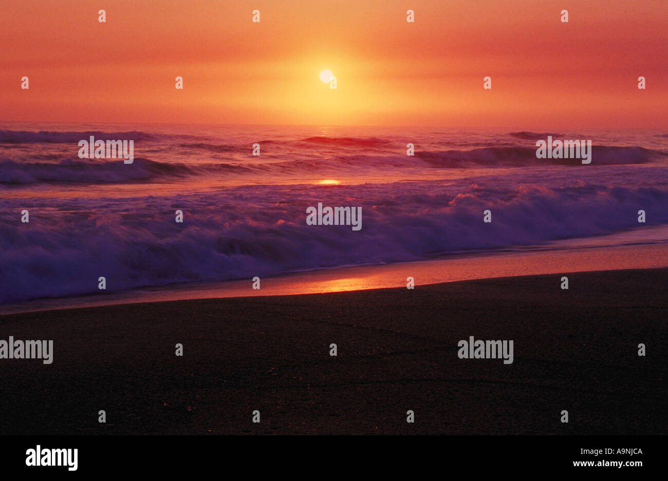 Merritt island beaches hi-res stock photography and images - Alamy