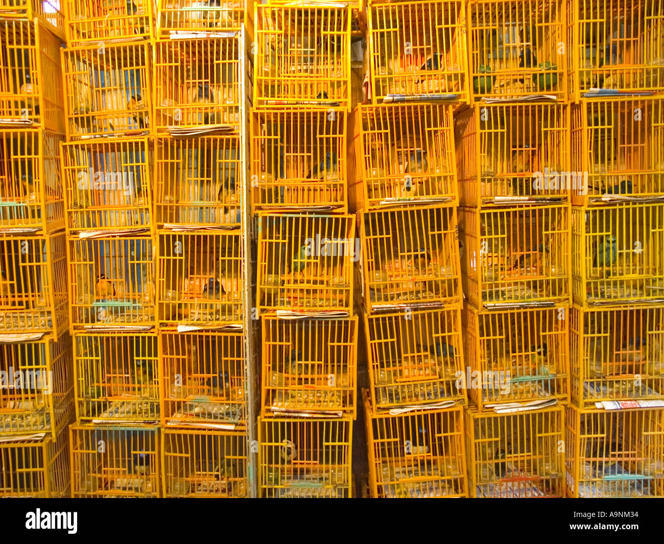 China Hong Kong Mong Kok Bird garden Yuen Po street Stock Photo - Alamy