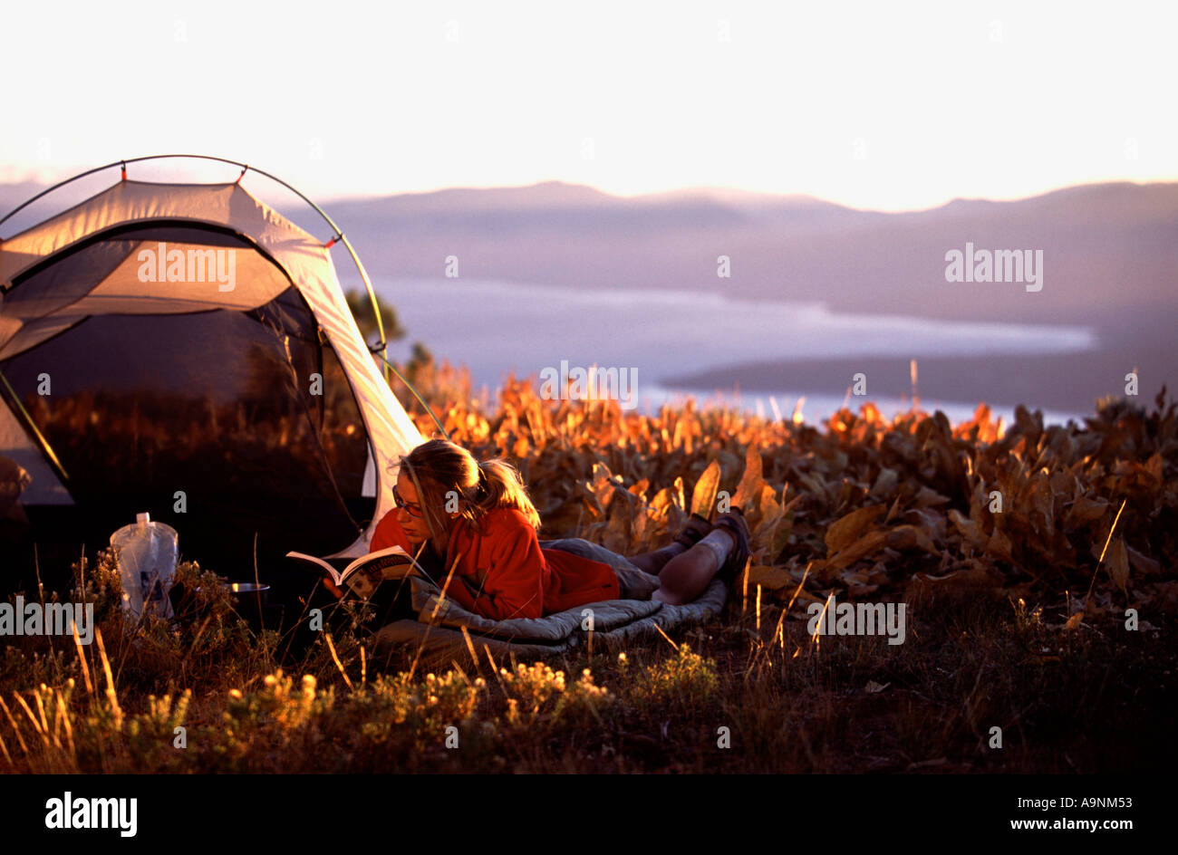 3385bsp hi-res stock photography and images - Alamy