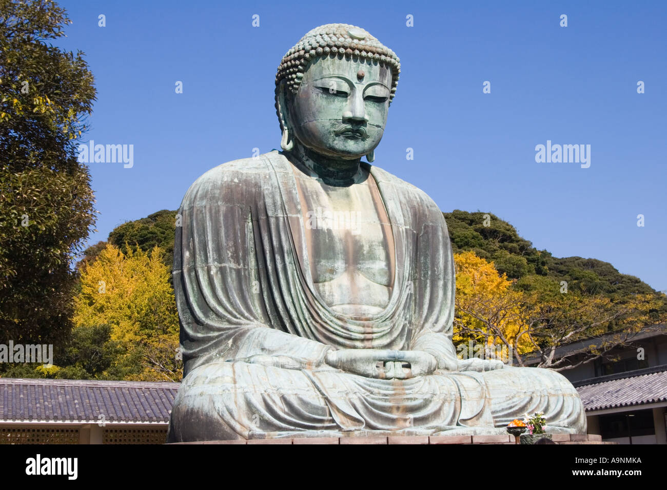 Daibutsu Great Buddha during autumn Kamakura Kanagawa Prefecture Japan ...